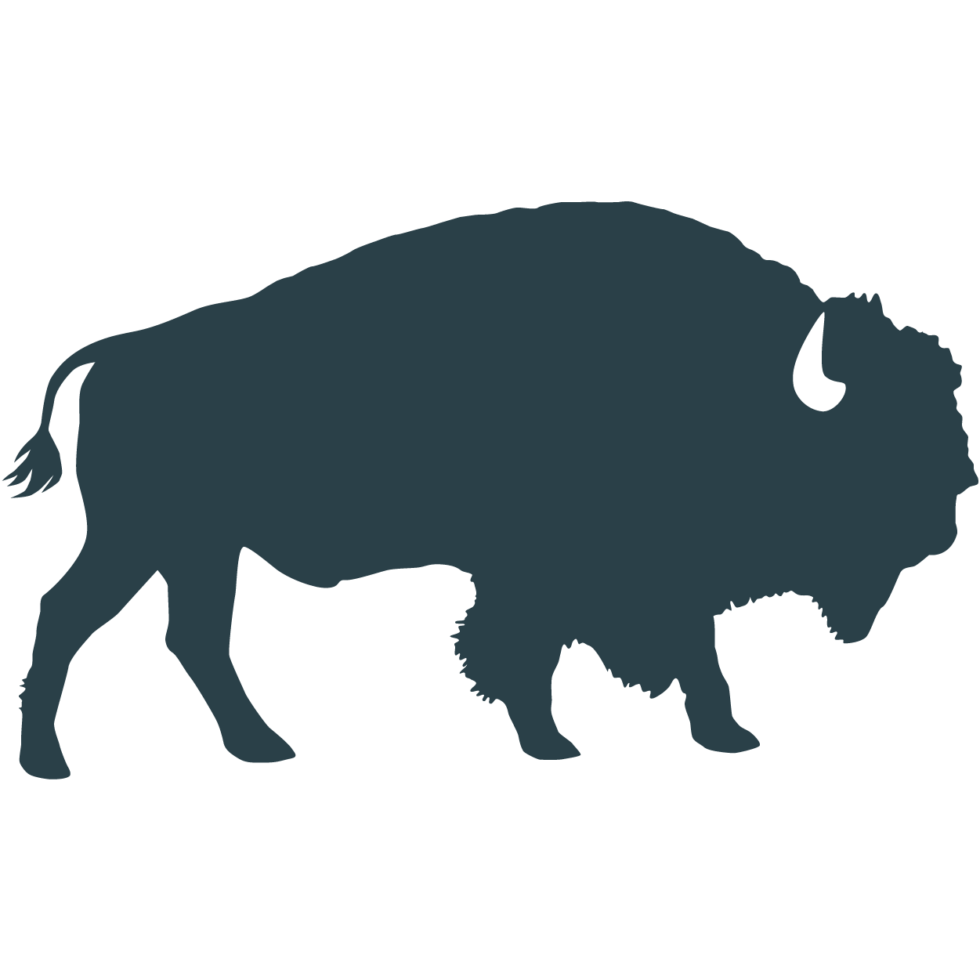 Network | Pangea-Net