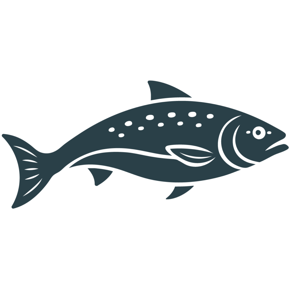 Network | Pangea-Net